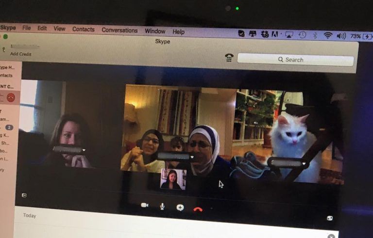Epic Journey! Iraqi refugee cat reunites with family in Norway