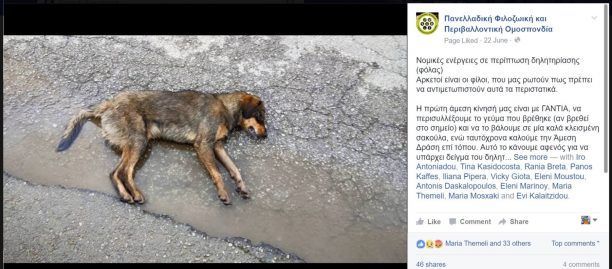 Οδηγίες για το πως κάνουμε καταγγελία αν βρούμε αδέσποτα ζώα ...