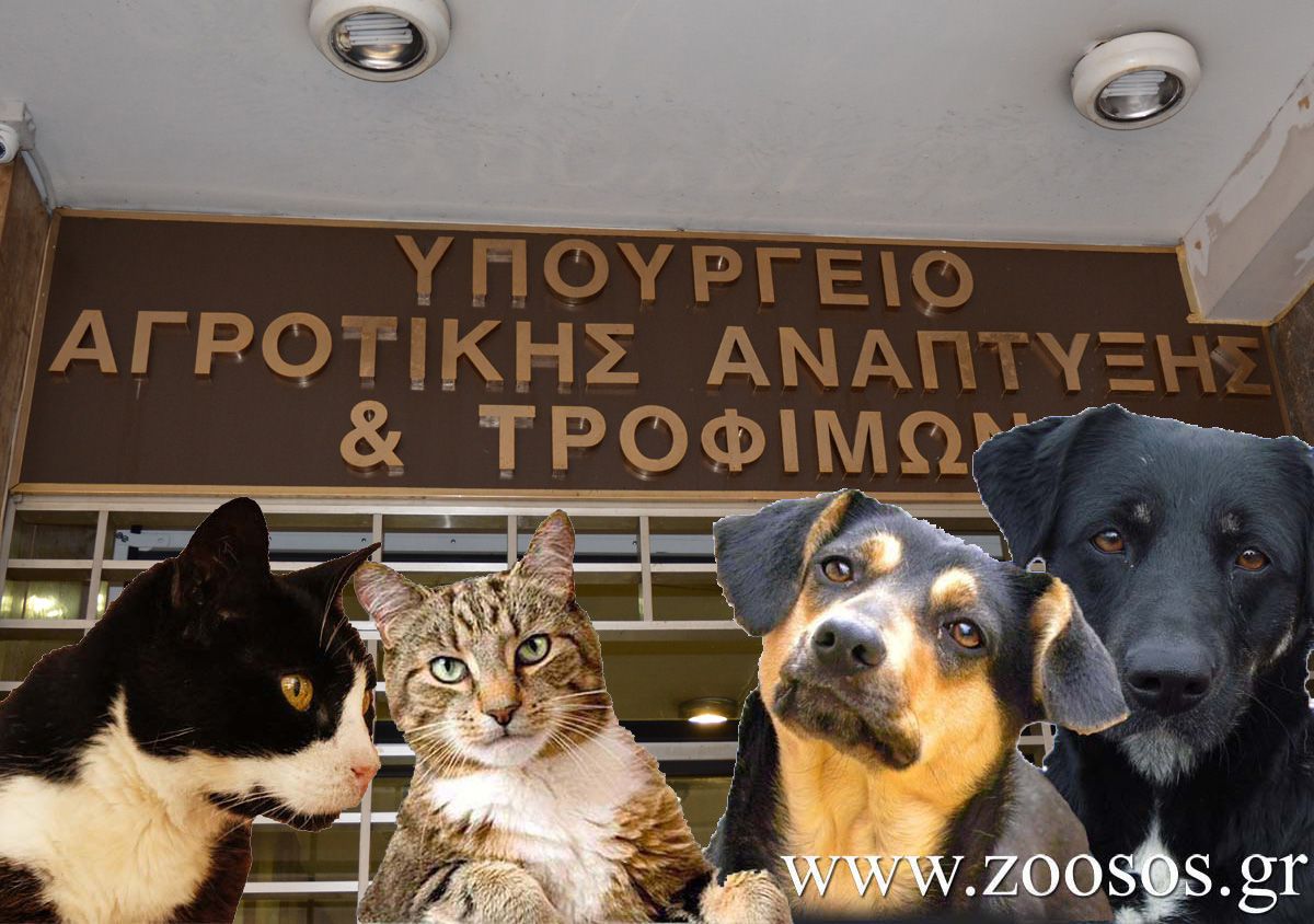 Αντιδρούν βουλευτές του ΣΥ.ΡΙΖ.Α. στη μεταφορά αρμοδιοτήτων για τα ζώα ...