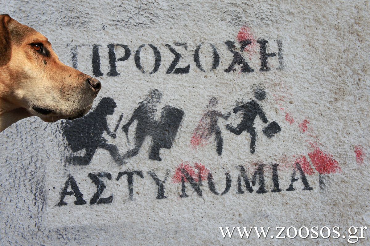 Αστυνομικός ο νταής με το γκλοπ που απειλούσε να σκοτώσει αδέσποτα στο ...