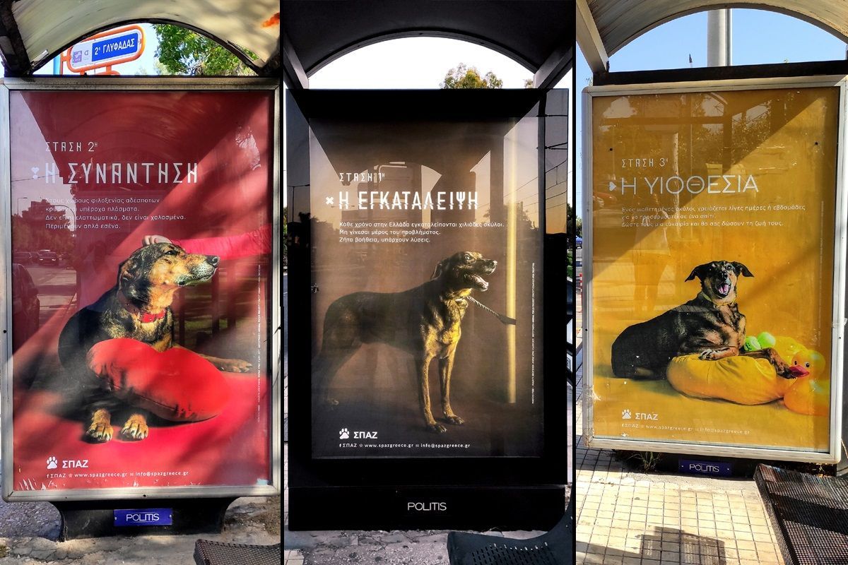 Καμπάνια ευαισθητοποίησης για την υιοθεσία ζώων από τον Σ.Π.Α.Ζ. | www ...