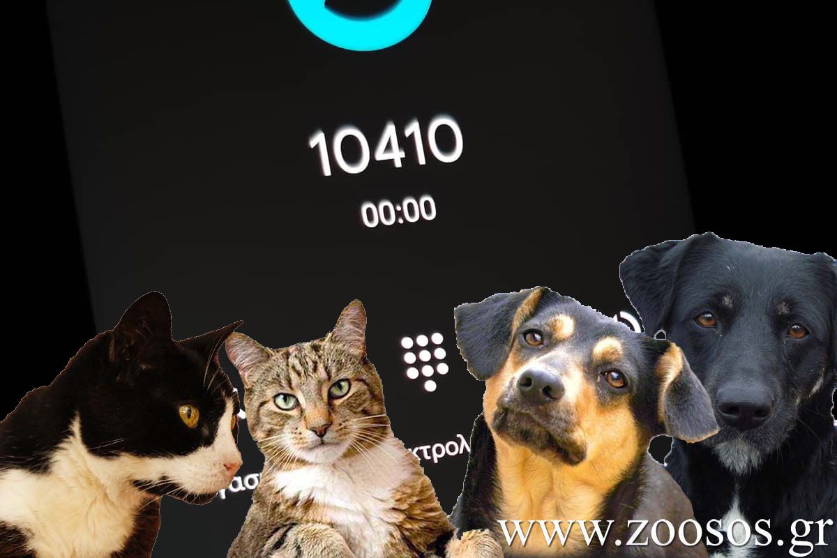 Στον τηλεφωνικό αριθμό 10410 της ΕΛ.ΑΣ. μπορείτε να καλείτε για να ...