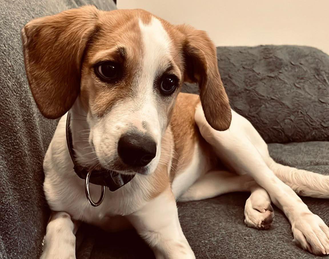 Κατήγγειλε οδηγό του Κ.Τ.Ε.Λ. Πάτρας που την κατέβασε από λεωφορείο ...