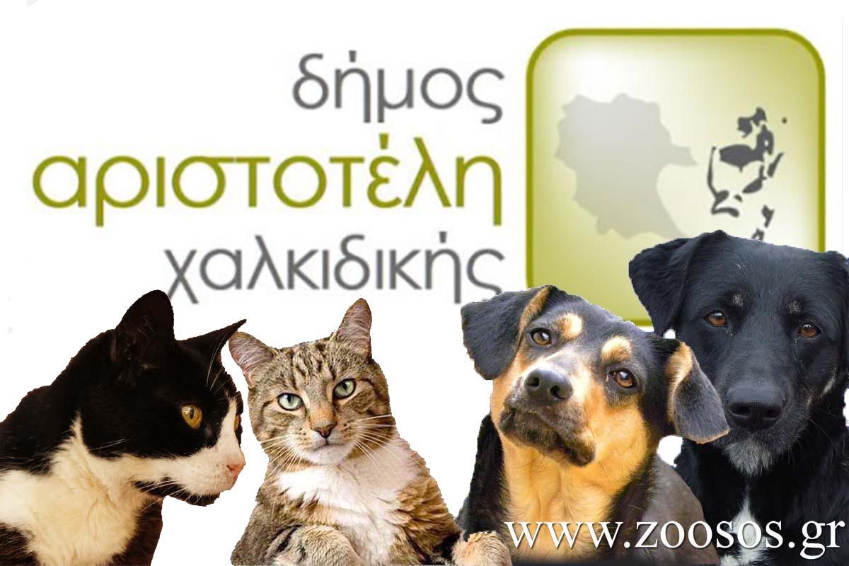 Ποιον ενοχλεί το Δημοτικό Κτηνιατρείο στο Στρατώνι και ο Δήμος ...