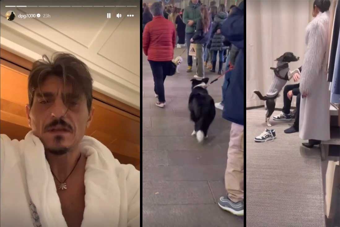 Παραλήρημα Δ. Γιαννακόπουλου για τα σκυλιά που δεν ανέχεται να τα ...
