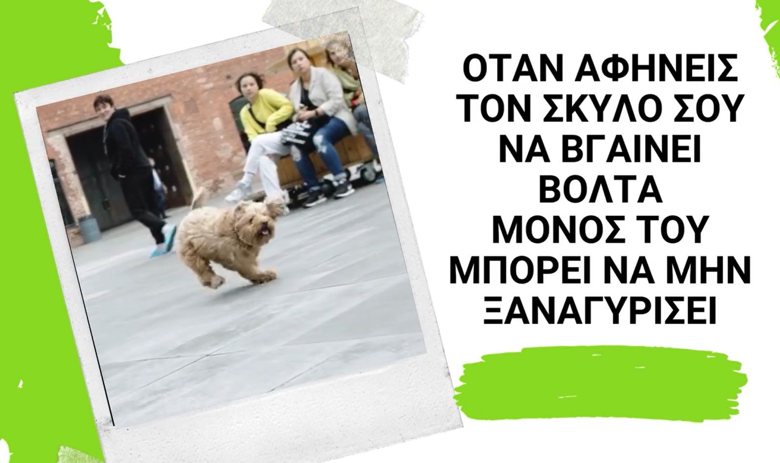 Ο σκύλος σου, όσο έξυπνος και να είναι, δεν πρέπει να βγαίνει μόνος του ...