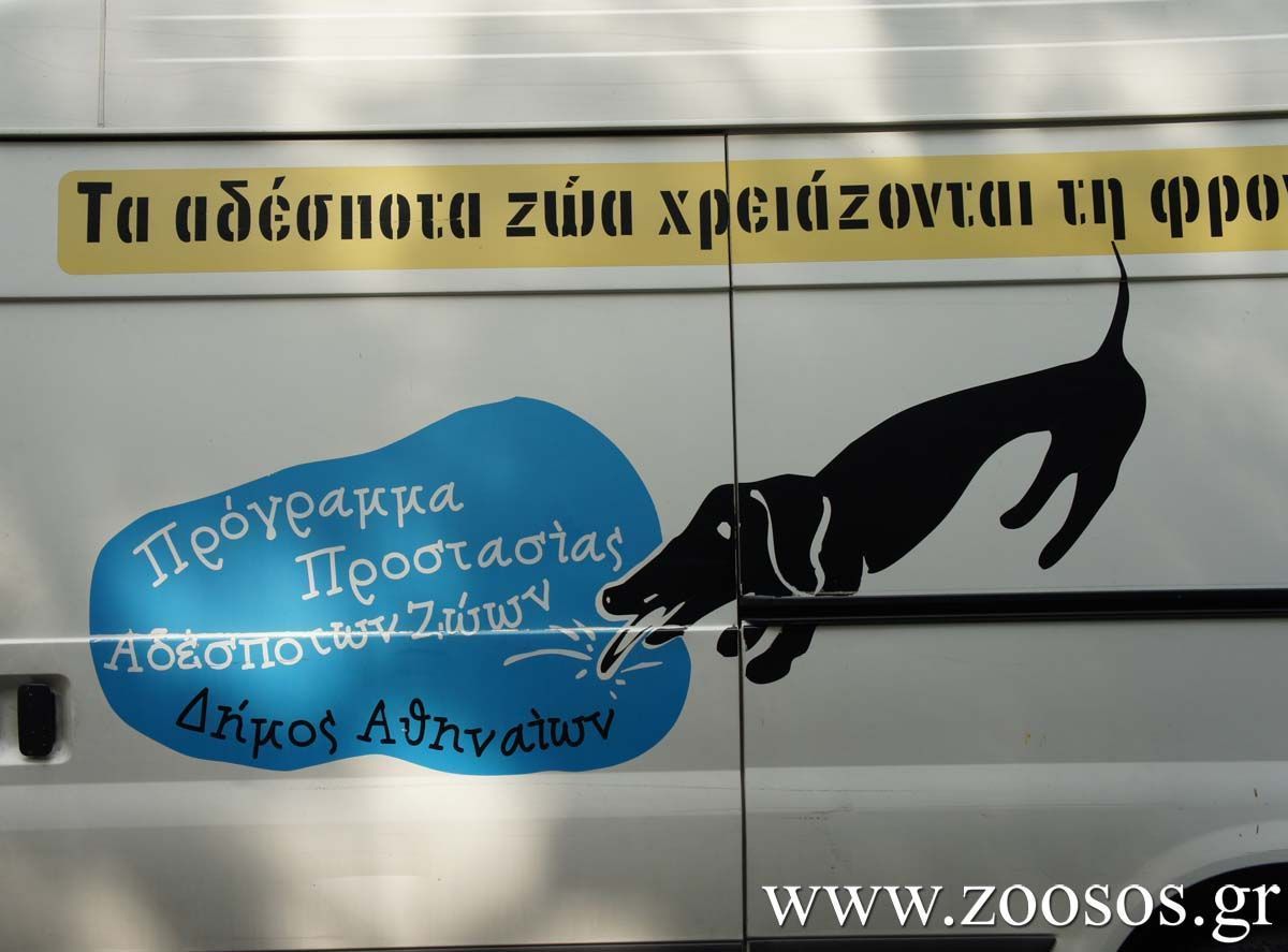 Προσφέρει το καταφύγιο της στα Μέγαρα για τ’ αδέσποτα του Δήμου ...