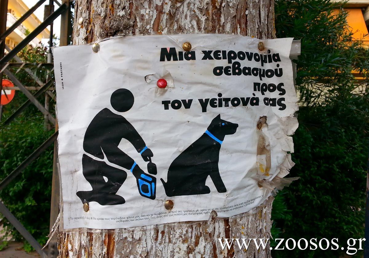 Οφείλουμε να μαζεύουμε ό,τι αφήνει πίσω του ο σκύλος μας! | www.zoosos ...