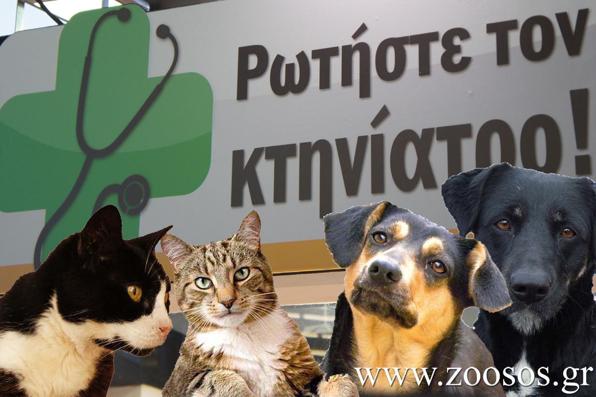 Που θα βρω κτηνίατρο που εφημερεύει στην Αττική; | www.zoosos.grwww ...