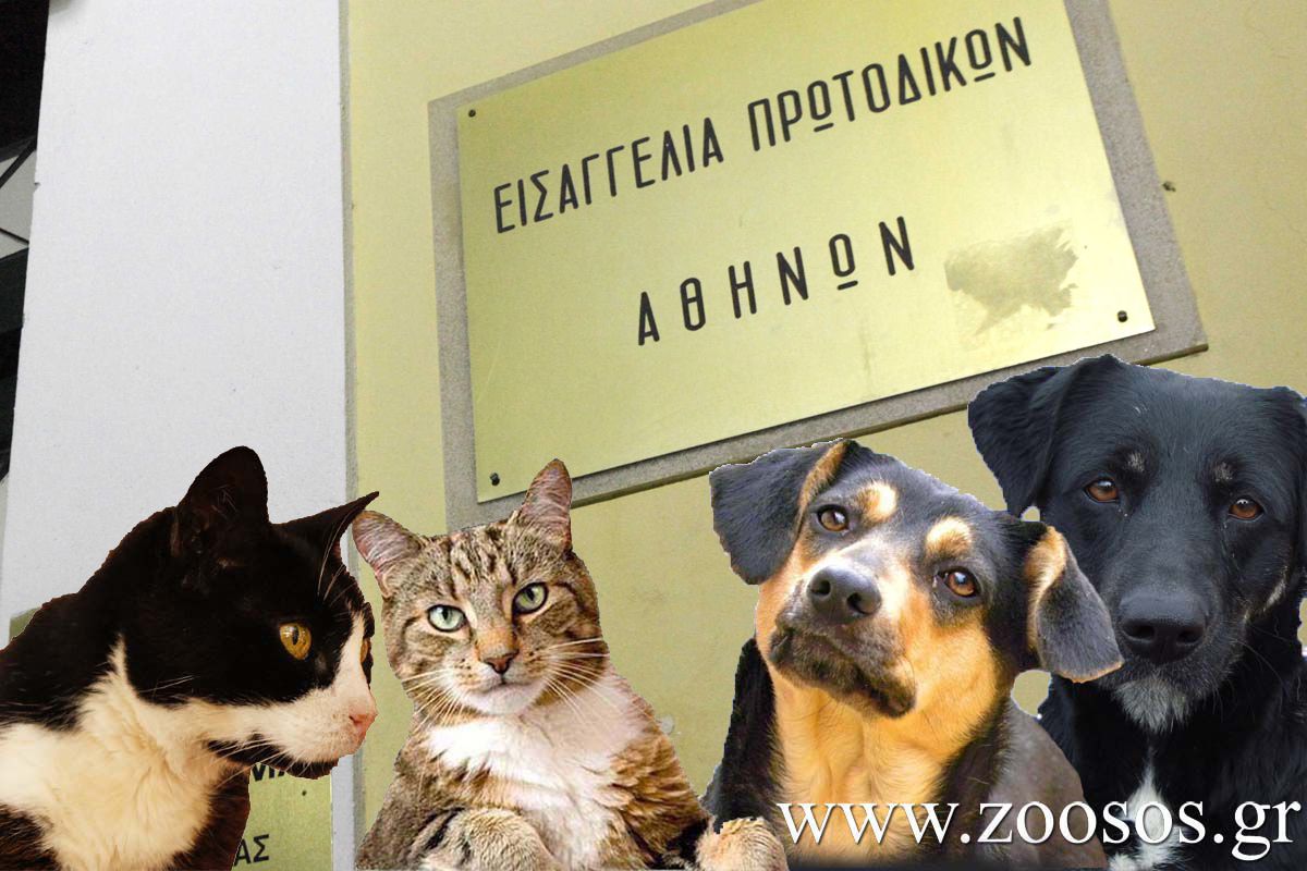 Ο Γ. Νούλης νέος εισαγγελέας προστασίας των ζώων στην Εισαγγελία ...
